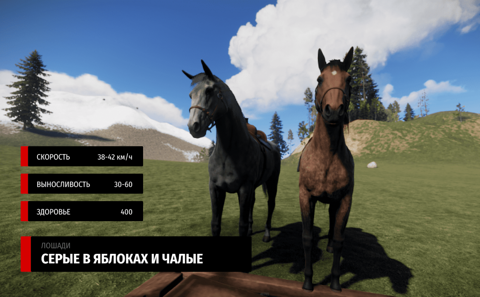 Лошади в Rust: сколько стоит, чем кормить, как купить и надеть седло